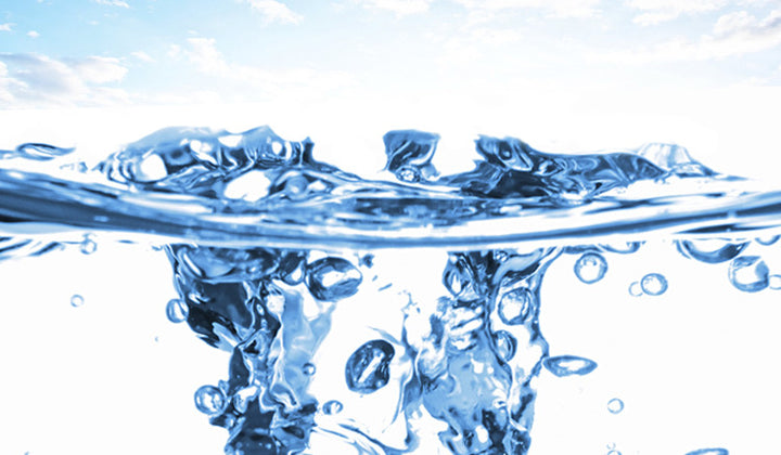 Gary's Vitamin Closet