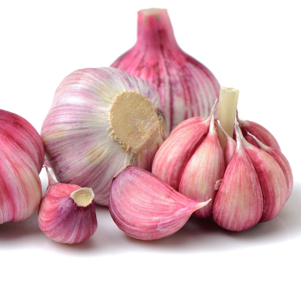 Garlic Plus | Buy Heart Support Supplements | Gary's Vitamin Closet
